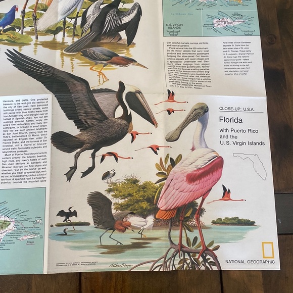 Art | Vintage 1973 Florida National Geographic Map | Poshmark